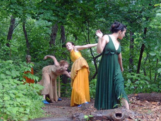 New York | The Big Jackfruit Tree